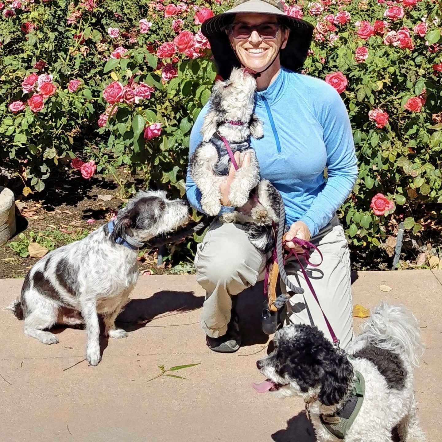 Services & Pricing - Pet Care by Tiger